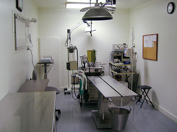 Tour – Animal Hospital of Cloverdale